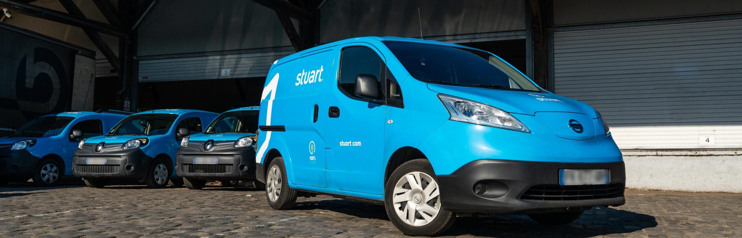 Stuart UK partners with Green Elf Trees to bring sustainability to this ...